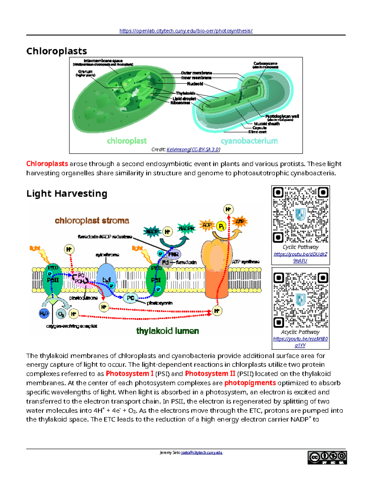 Photosynthesis: Light & Dark Reactions Dynamics (Bio 101) - Studocu
