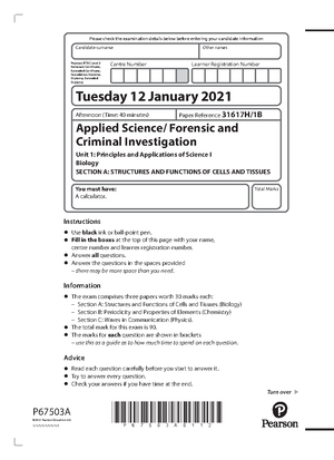 Anatomy Revision - Plastinated Human Brain Cerebrum over view Frontal ...