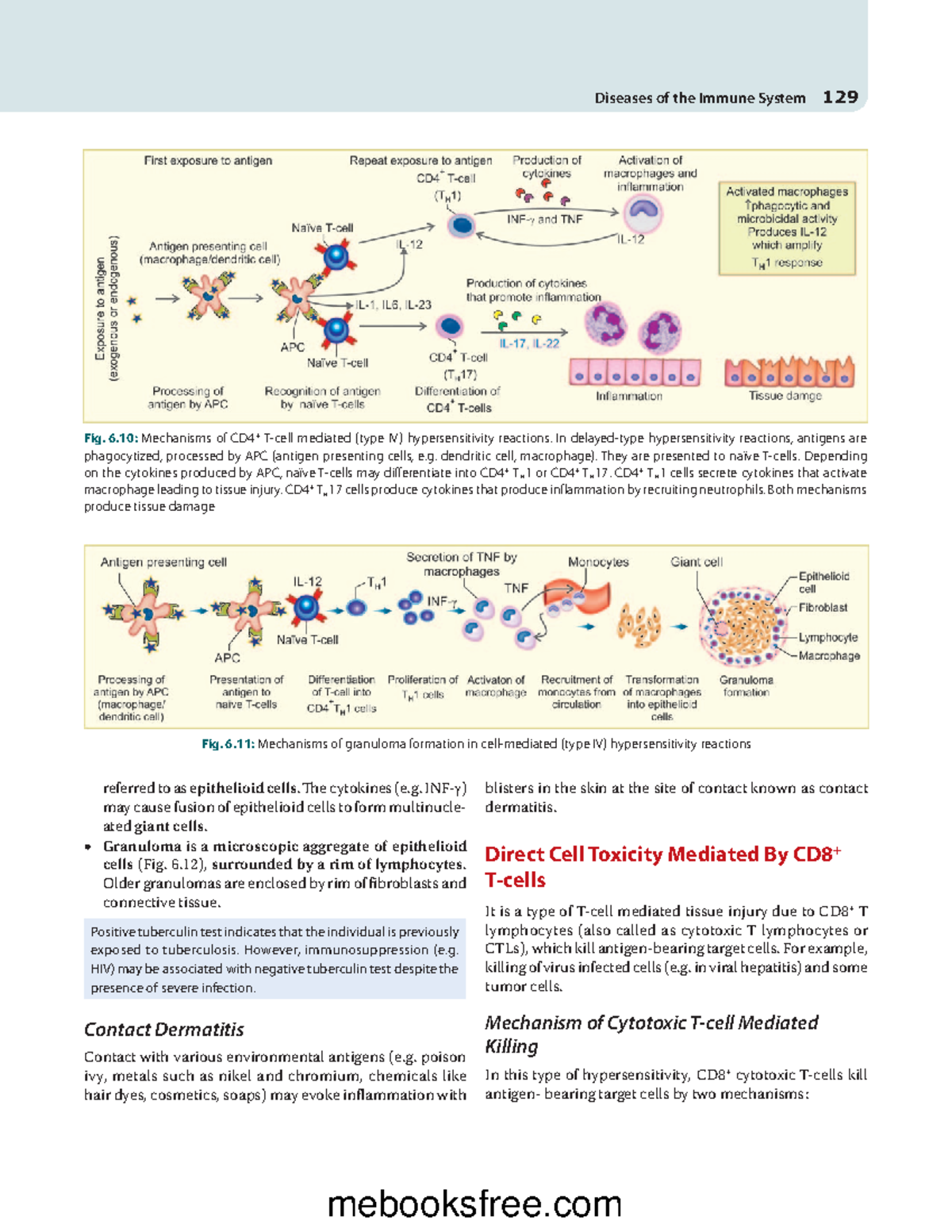Pathology 18: Immune System Diseases & Autoimmunity Study Guide - Studocu