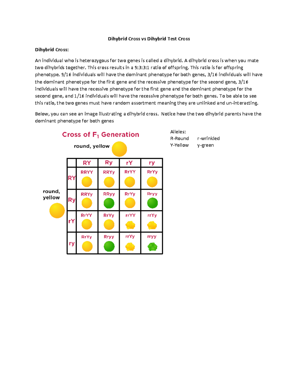 Dihybrid cross test cross worksheet - Dihybrid Cross vs Dihybrid Test ...