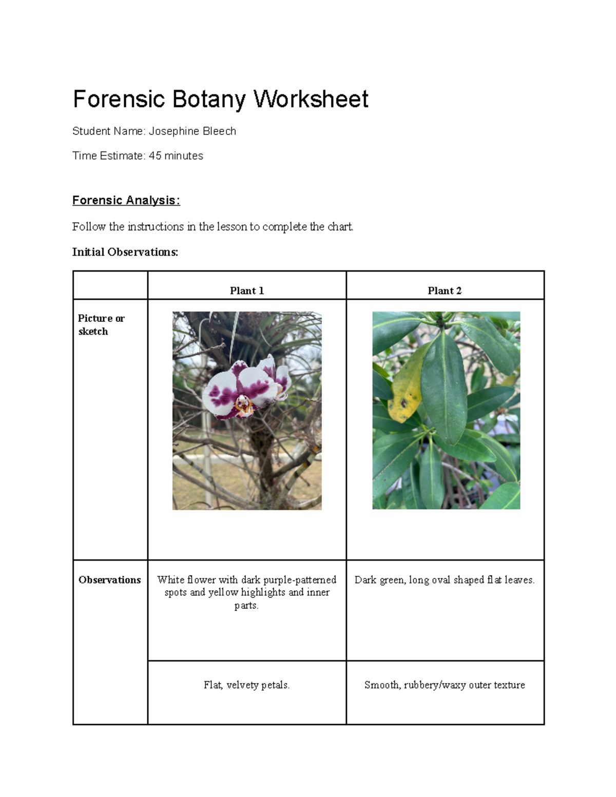 2.05 Forensic Botany Worksheet: Plant Identification and Analysis - Studocu