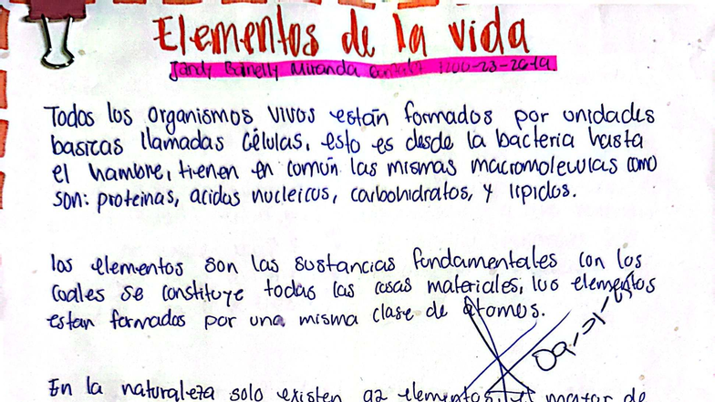 Resumen de Elementos en Bioquímica 1 - Jandy Bainelly Miranda - Studocu
