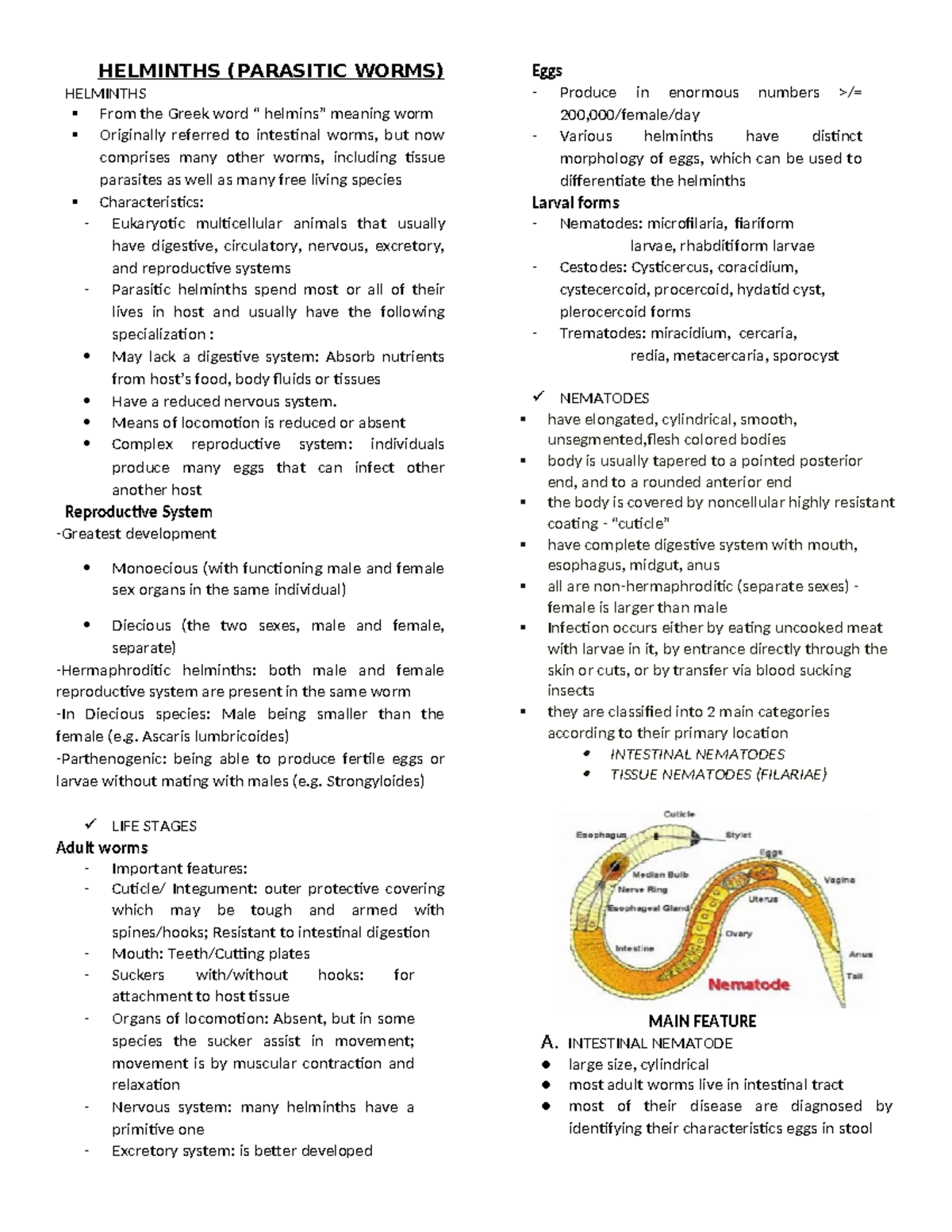 Helminths - notes - HELMINTHS (PARASITIC WORMS) HELMINTHS From the ...