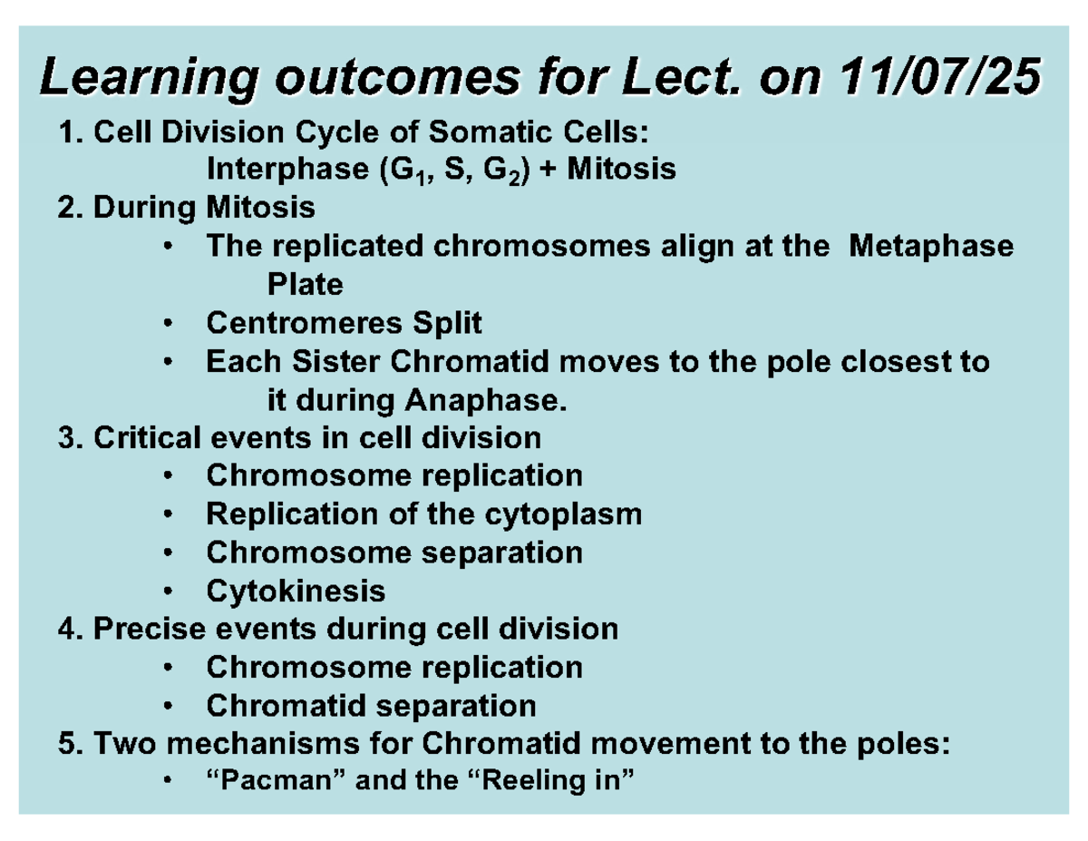 Lecture Notes on Cell Division and Mitosis - 11/07/25 - Studocu