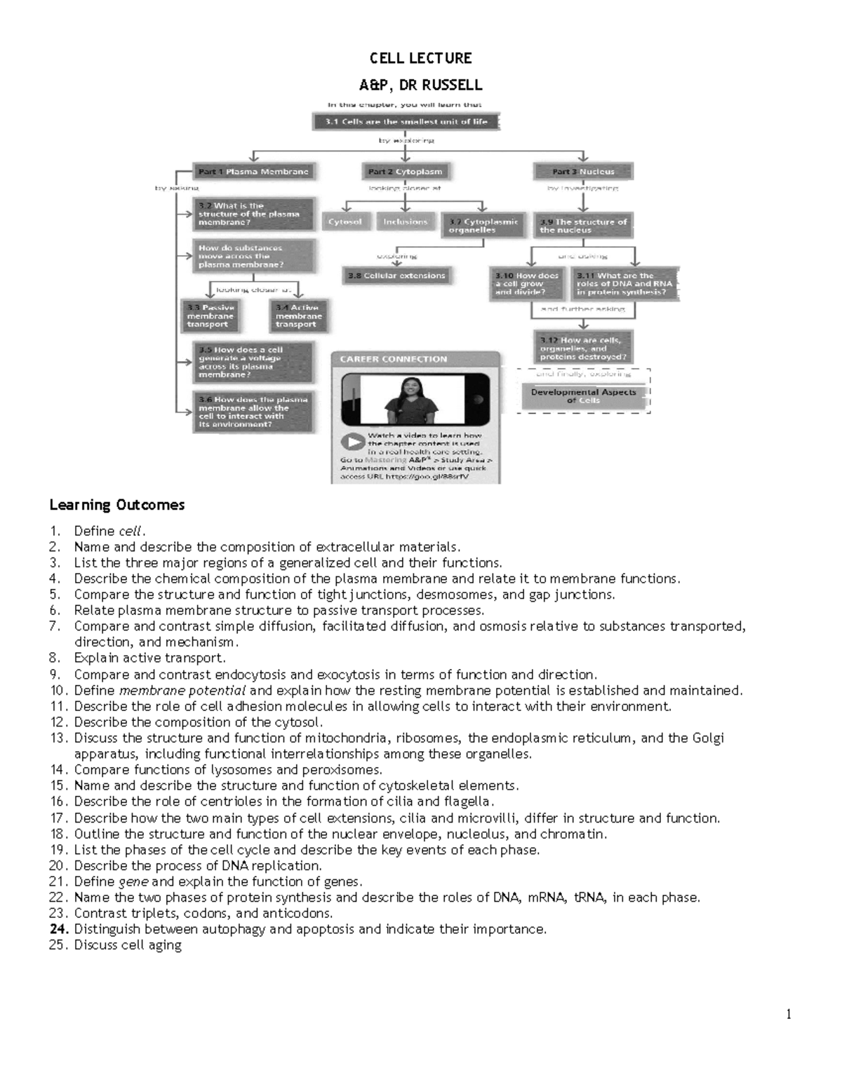 CELL LECTURE NOTES F24: Key Concepts and Learning Outcomes - Studocu