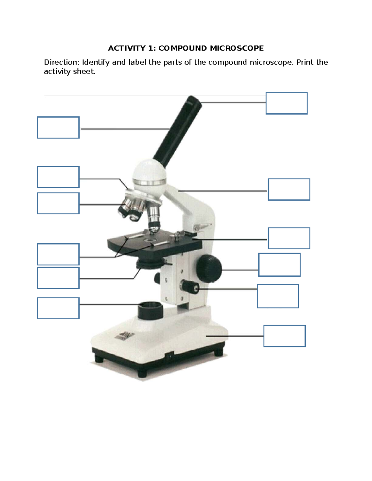 Q2A1 Compound Microscope - General Biology 2 - ACTIVITY 1: COMPOUND ...