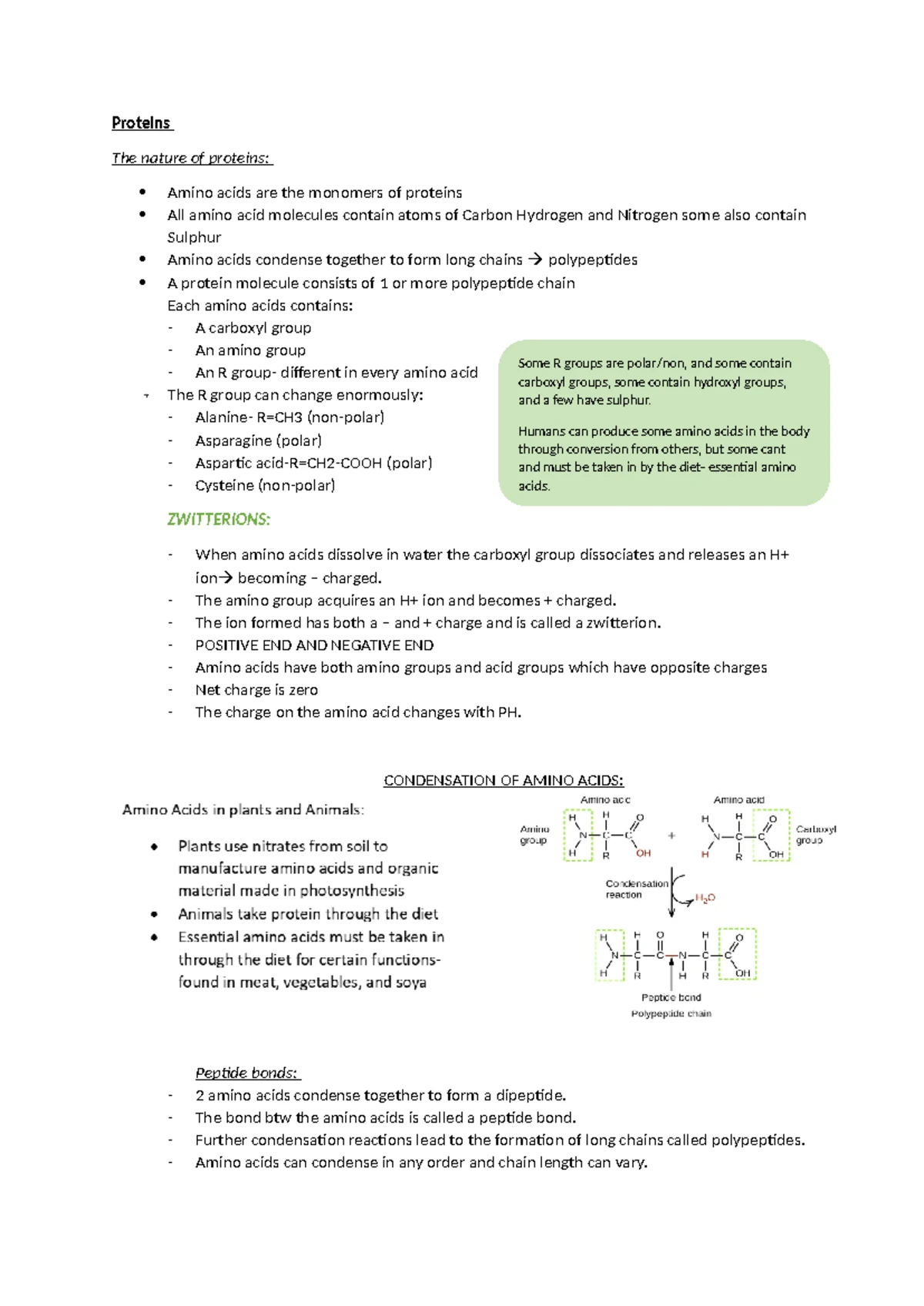 Photosynthesis A Level OCR A Biology Notes: Chloroplast & Calvin Cycle ...