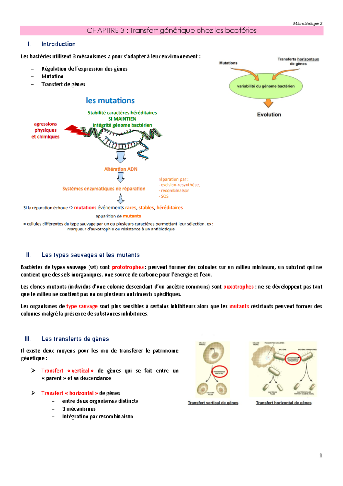 Chapitre 3 - Transfert génétique chez les bactéries : Mécanismes et ...