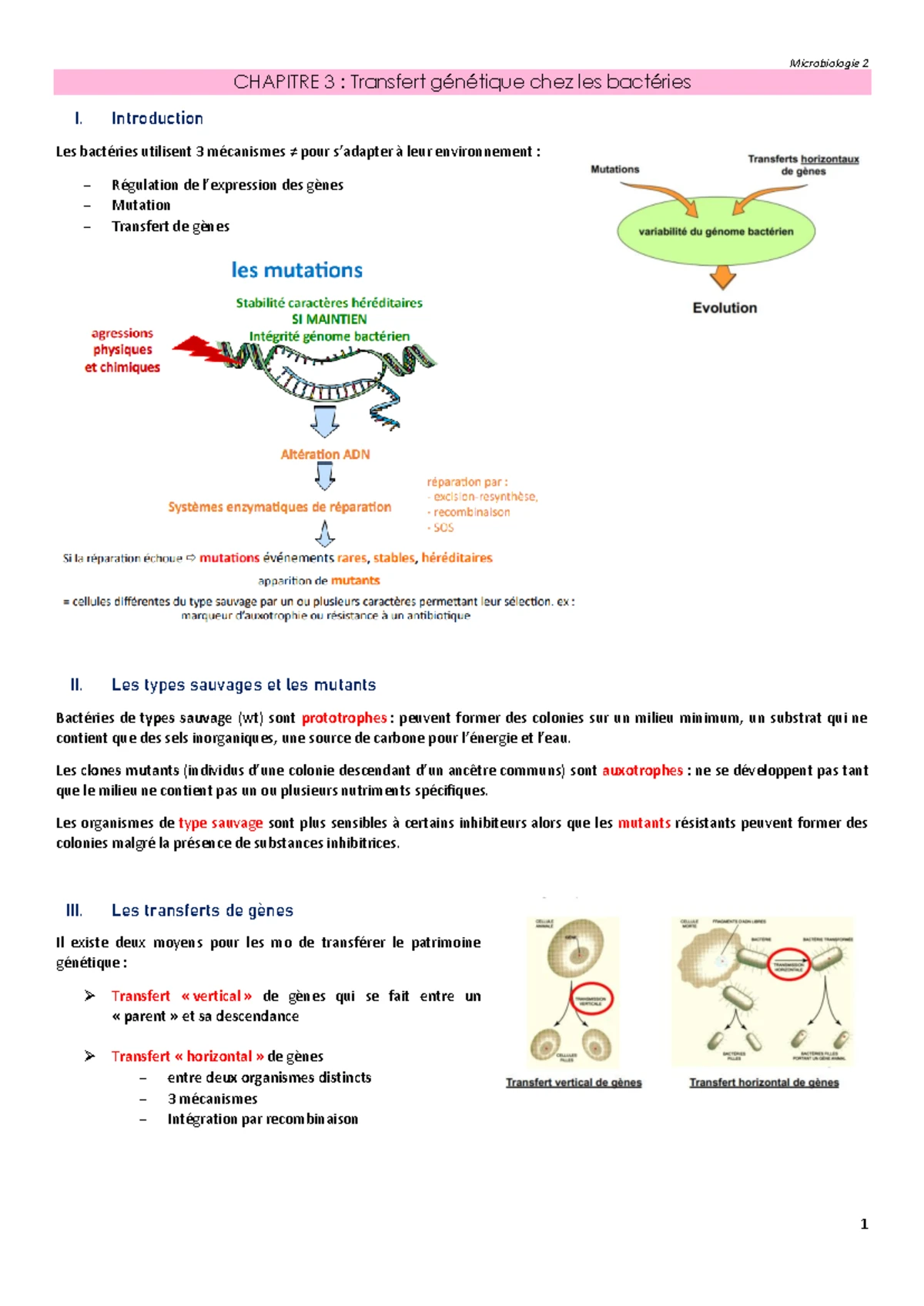 Chapitre 3 - Transfert génétique - CHAPITRE 3 : Transfert génétique ...