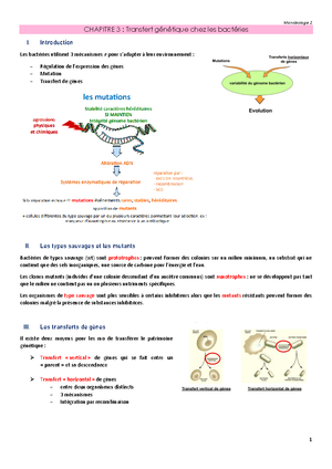 Chapitre 5 - les plasmides - Microbiologie 2 1 CHAPITRE 5 : Les ...