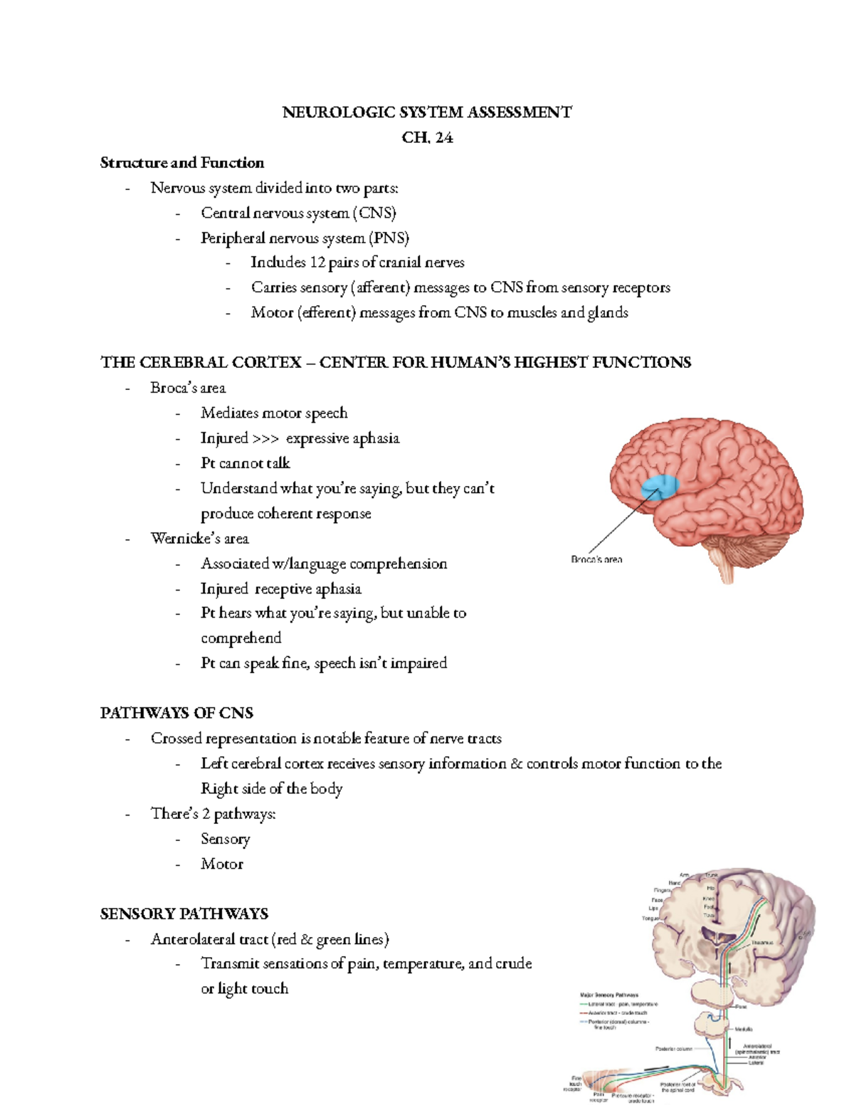 Ch. 24 Neurologic System - NEUROLOGIC SYSTEM ASSESSMENT CH. 24 Structure and Function - Nervous ...