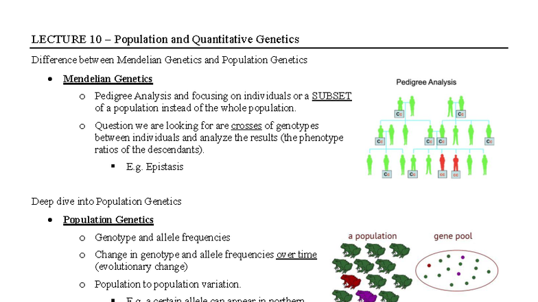 LECTURE 10: Population & Quantitative Genetics - Mendelian vs ...