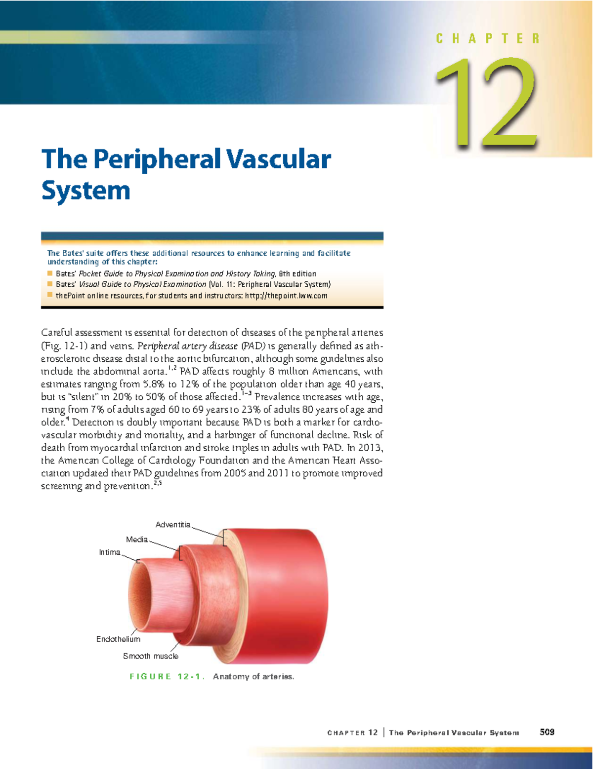 Peripheral vascular system - 12-1) and veins. Peripheral artery disease ...