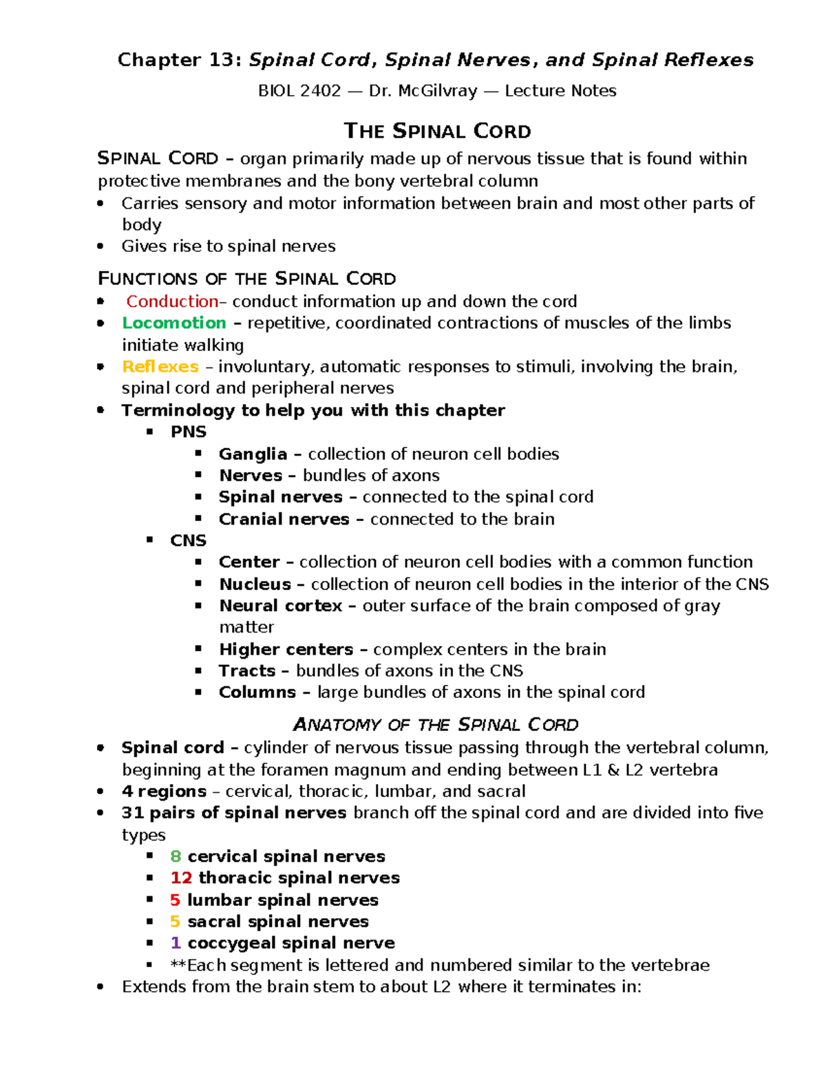 BIOL 2402 Lecture Notes: Spinal Cord, Nerves & Reflexes Overview - Studocu
