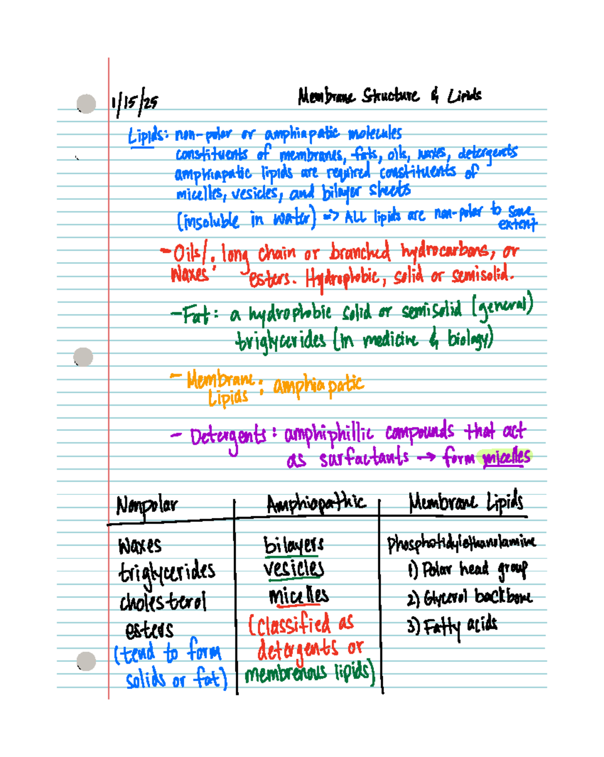 Membrane Structure and Function: Key Lipids Overview (1/15/25) - Studocu