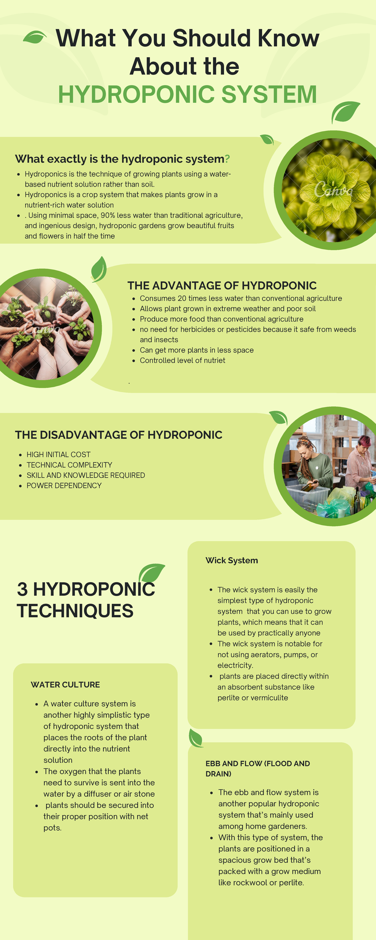 Hydroponic infographic - What exactly is the hydroponic system ...