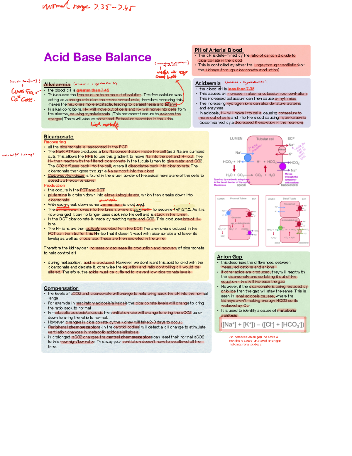 ABG and Spirometry - Acid Base Balance Bicarbonate Recovering all the ...