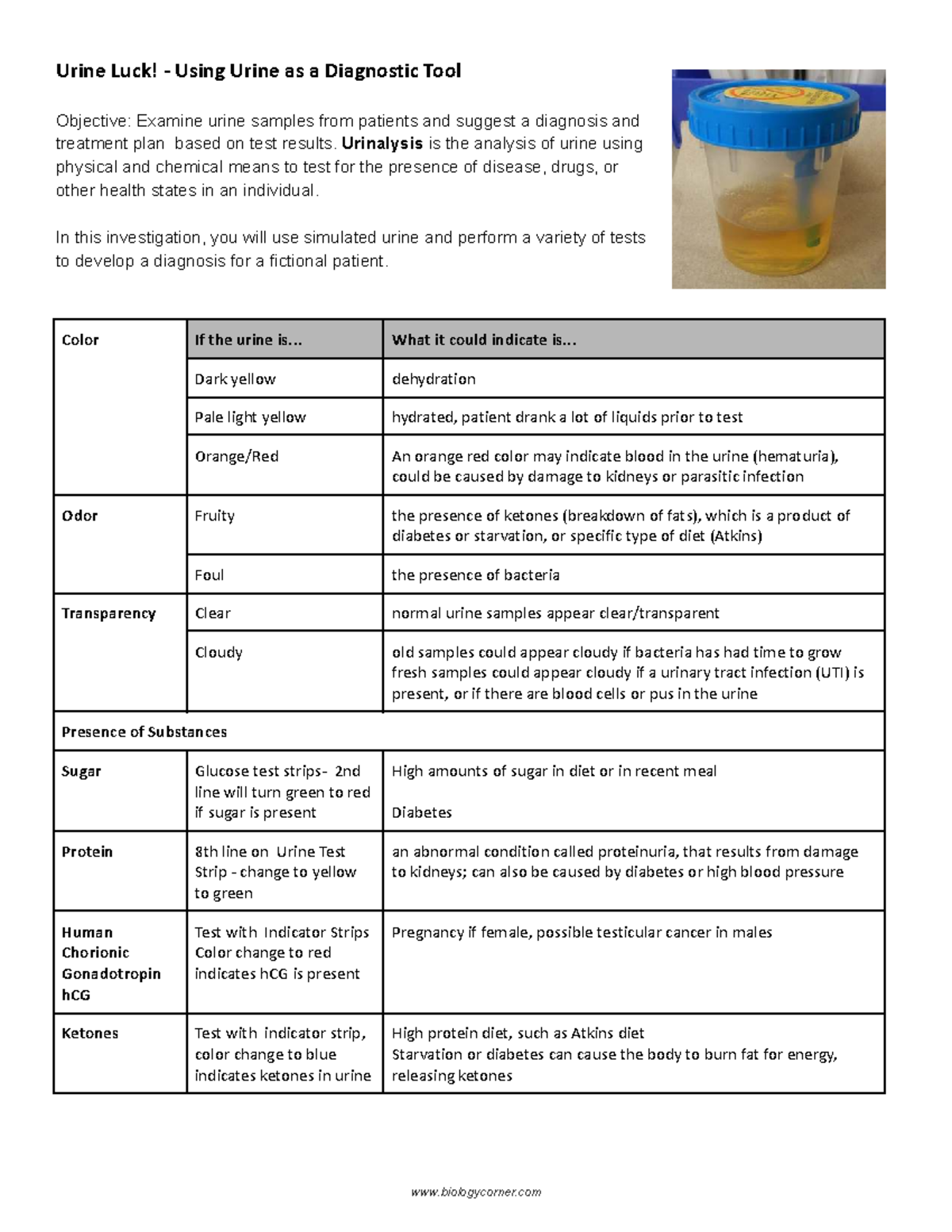 Urinalysis Case Study: Diagnosing with Simulated Urine Samples - Studocu