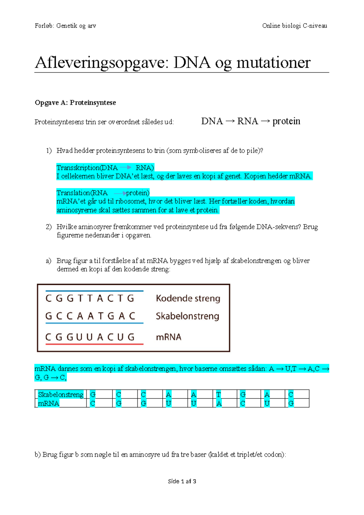 Genetik og Arv: DNA og Mutationer - Opgave A & B (Biologi) - Studocu