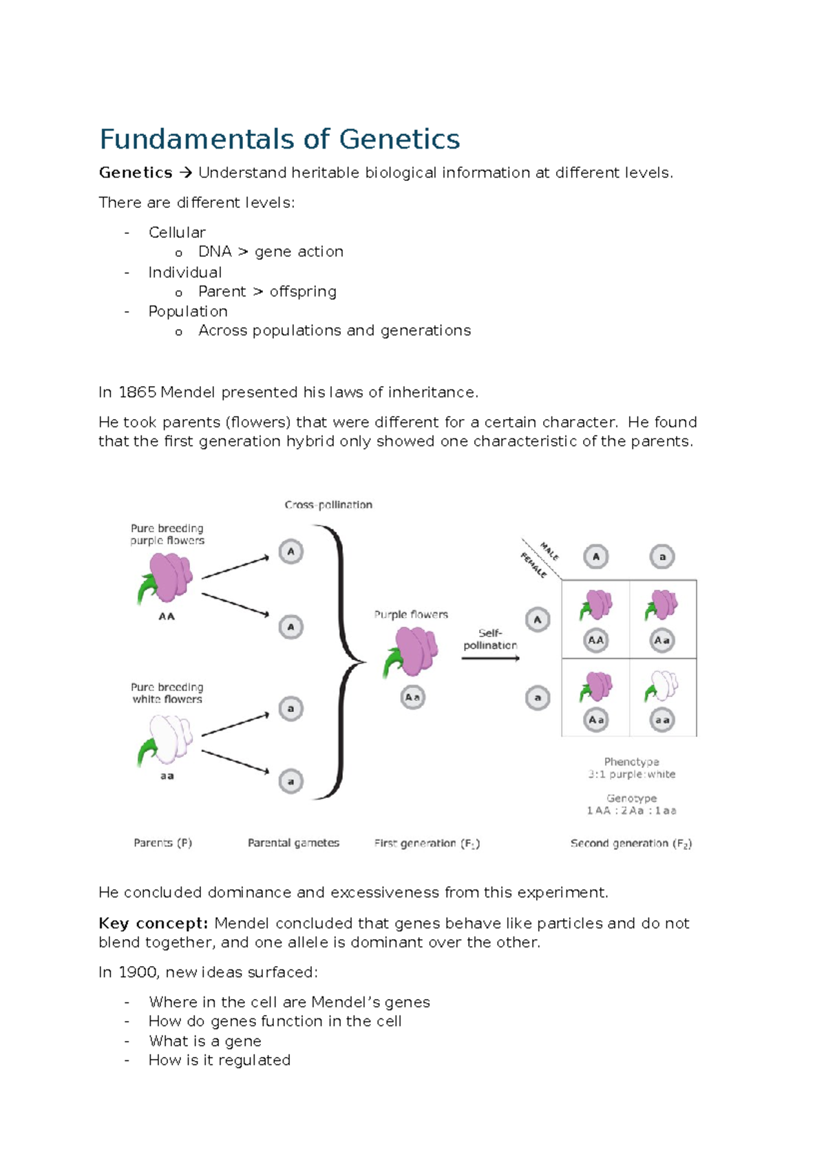 Genetics 101: Comprehensive Lecture Notes on Core Concepts & Mechanisms ...