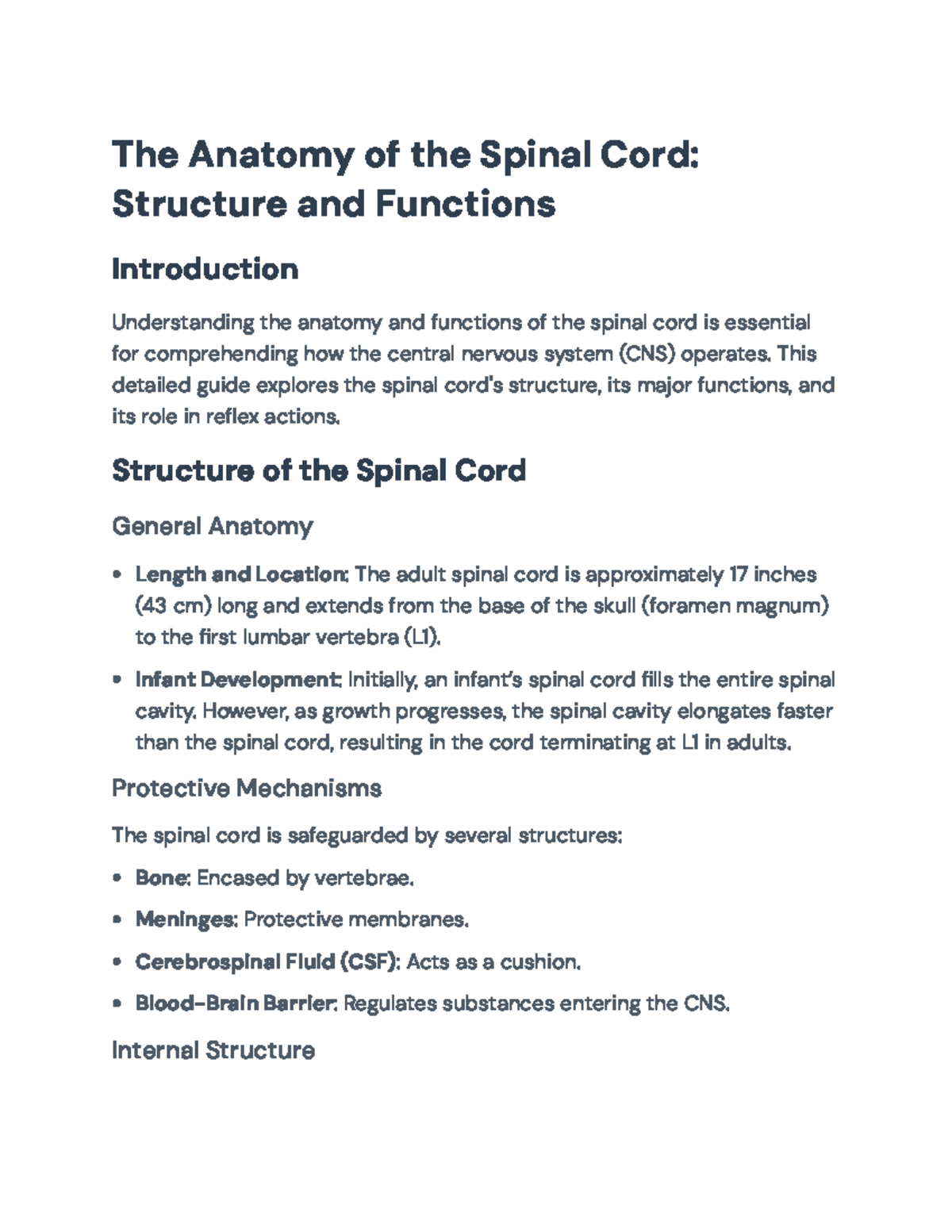 Comprehensive Guide to Spinal Cord Anatomy and Functions (BIO101) - The ...