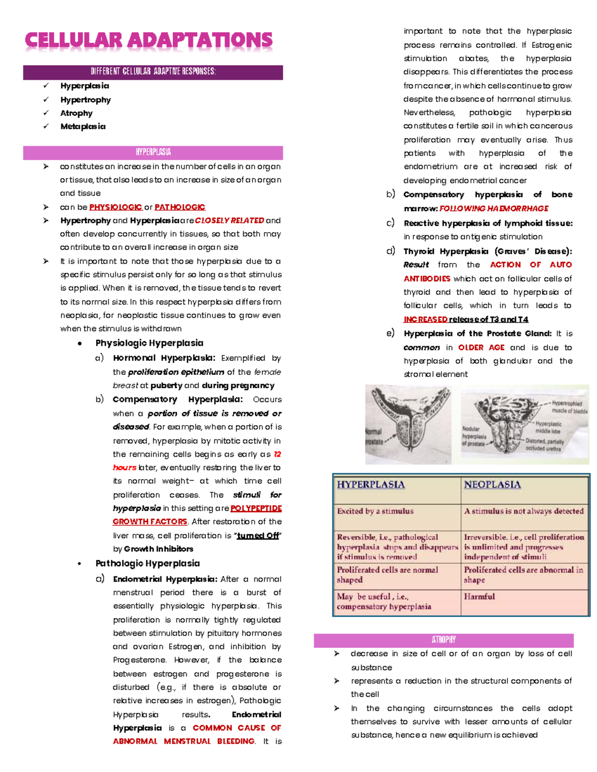 CELL Adaptation - Short Notes on Hyperplasia, Atrophy, and Metaplasia ...