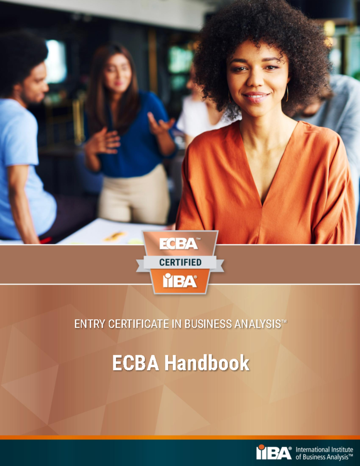 ECBA Handbook: Your Guide to the Entry Certificate in Business Analysis ...