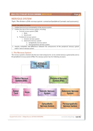 Loftus and Palmer (1974) - Key Study Summary on Memory and Language ...