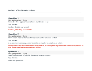 A p 1 101 module lab 1 exam questions and answers portage learning - A ...