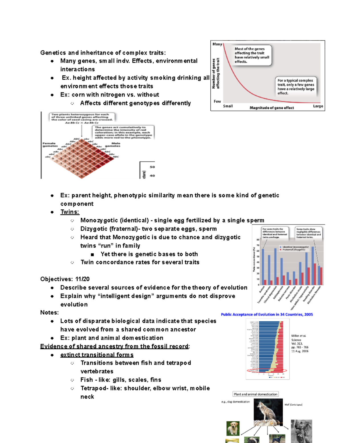 Bio notes Unit IV - review - Genetics and inheritance of complex traits ...