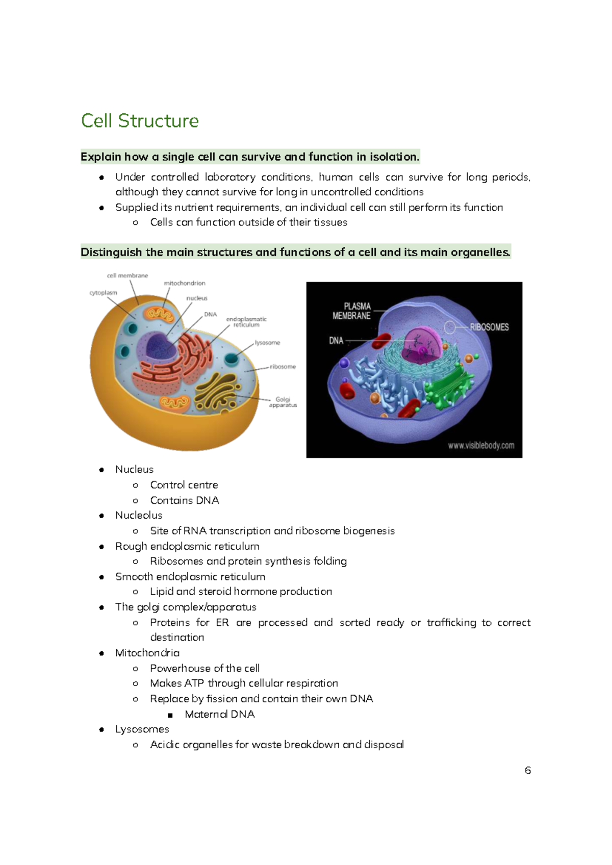 MEDS1001 - Cell Structure and Function: Organelles Explained - Studocu