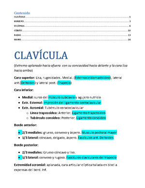 6-articulacion cara verterbras- anatomia- cuadro sinoptico - ARTICULACIONES DE LA CABEZA, CUELLO ...