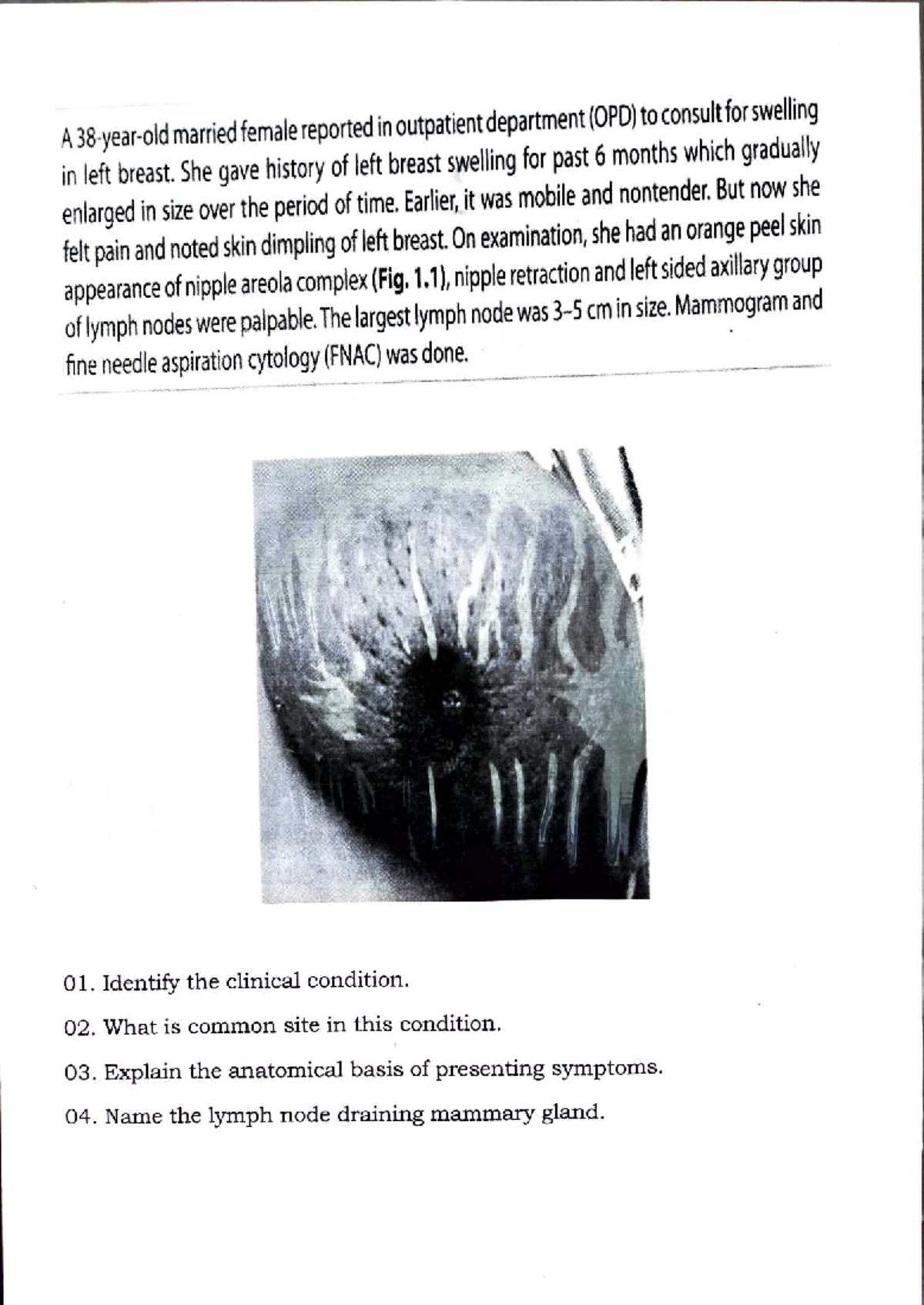 Histology - Clinical Cases and Conditions in MBBS (1st Year) - Studocu