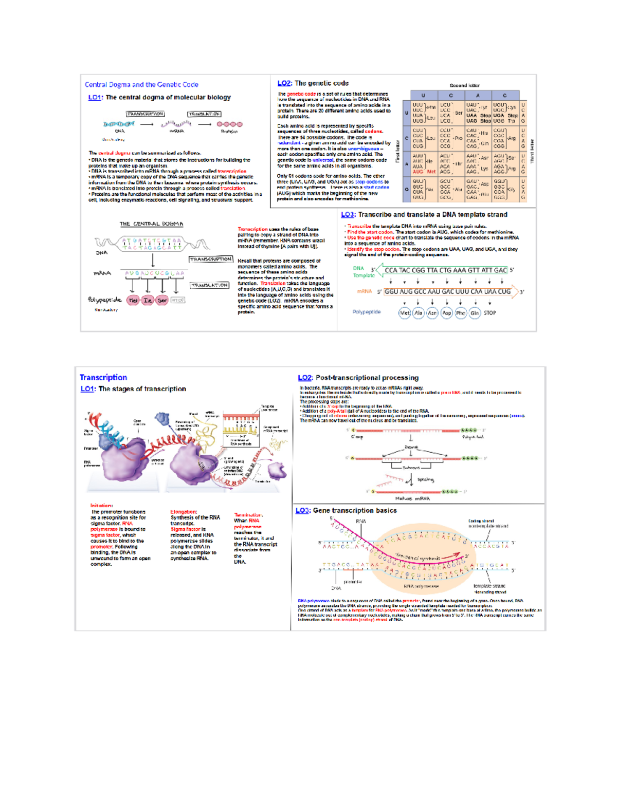 Central Dogma, Genetic Code, Transcription of DNA, General ...