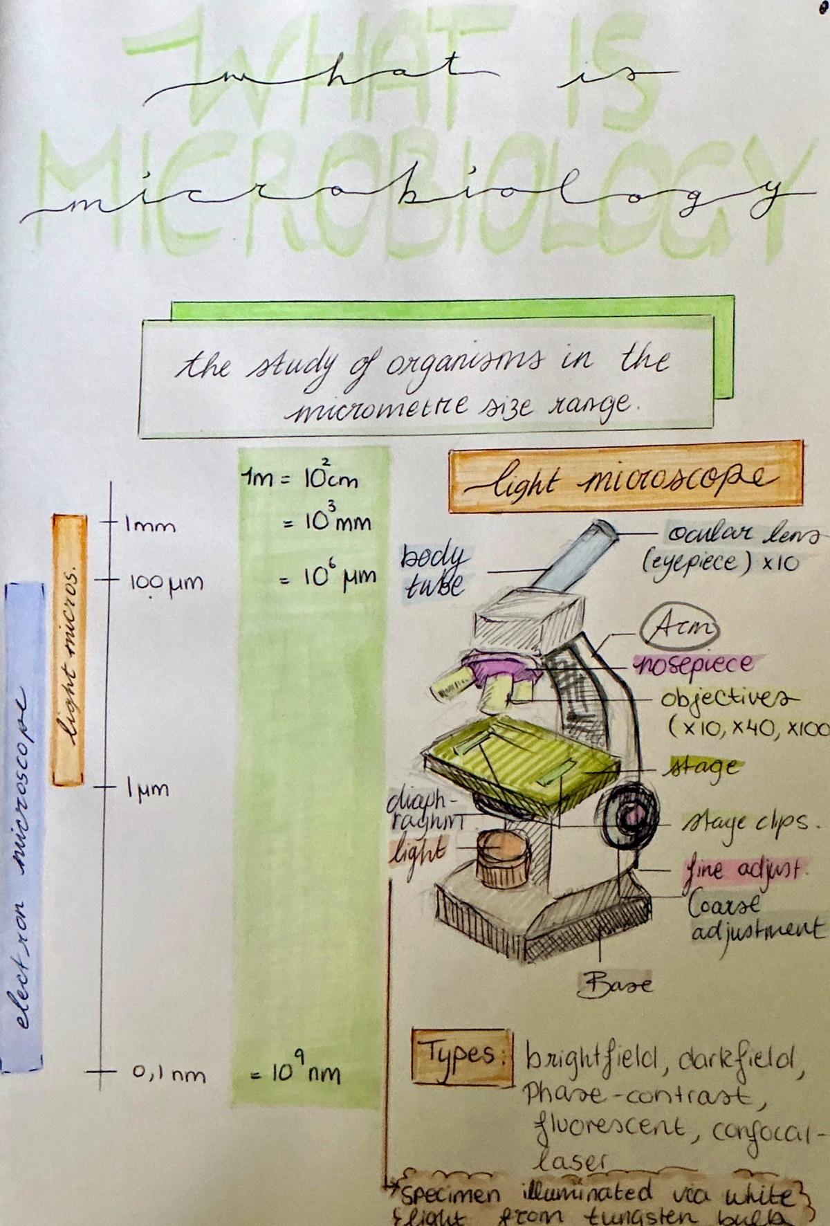 MICR 101 - Aug 12 Lecture Notes on Microscopy & Organisms - Studocu