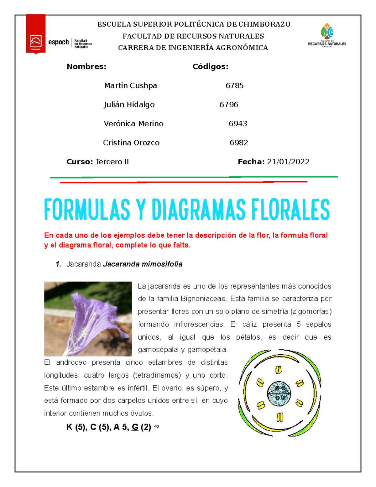 Formulas y Diagramas Florales - Curso Tercero II - Studocu