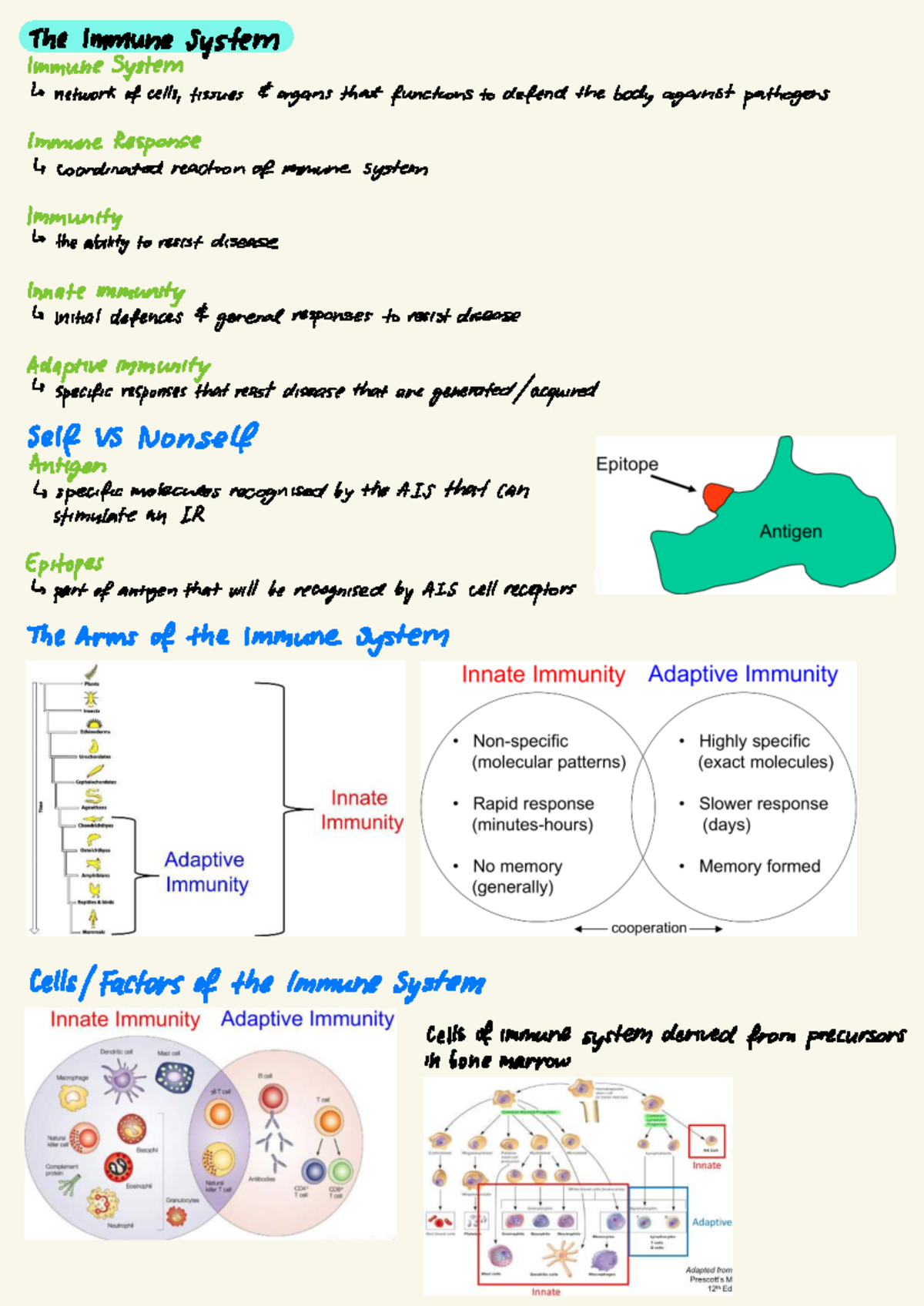 4. Immune Defences: Understanding the Immune System and Its Responses ...