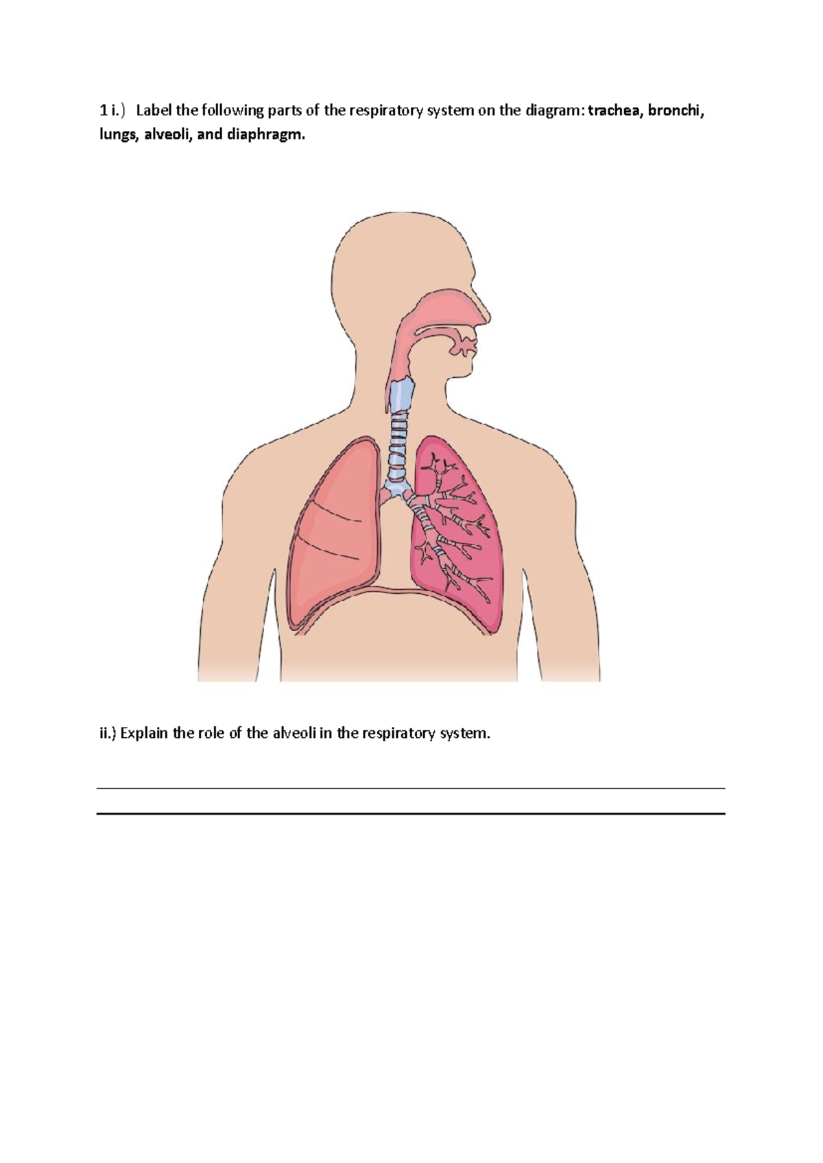 Science s8 chapter 1 - year 8 practice - 1 i.）Label the following parts ...
