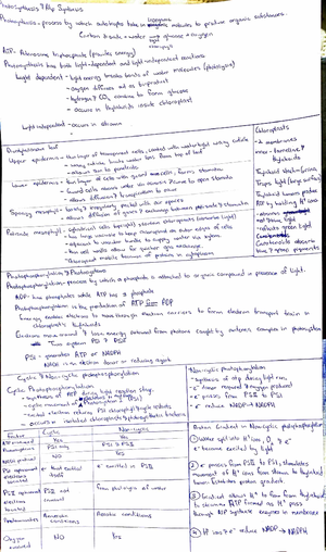 Diffusion Lab - Lab - Diffusion Lab Title: Observing Diffusion with ...