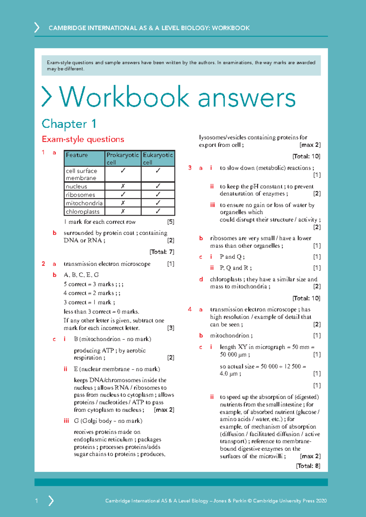 Cambridge International AS & A Level Biology Workbook Answers - Studocu