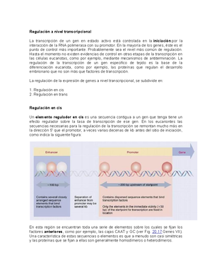 G0100-04 - especificaciones para sistemas interconectados a CFE - MÉXICO INTERCONEXIÓN A LA RED ...