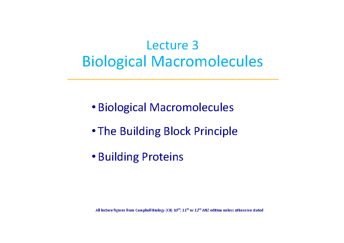 Cell Bio L3: Biological Macromolecules & Building Block Principle - Studocu