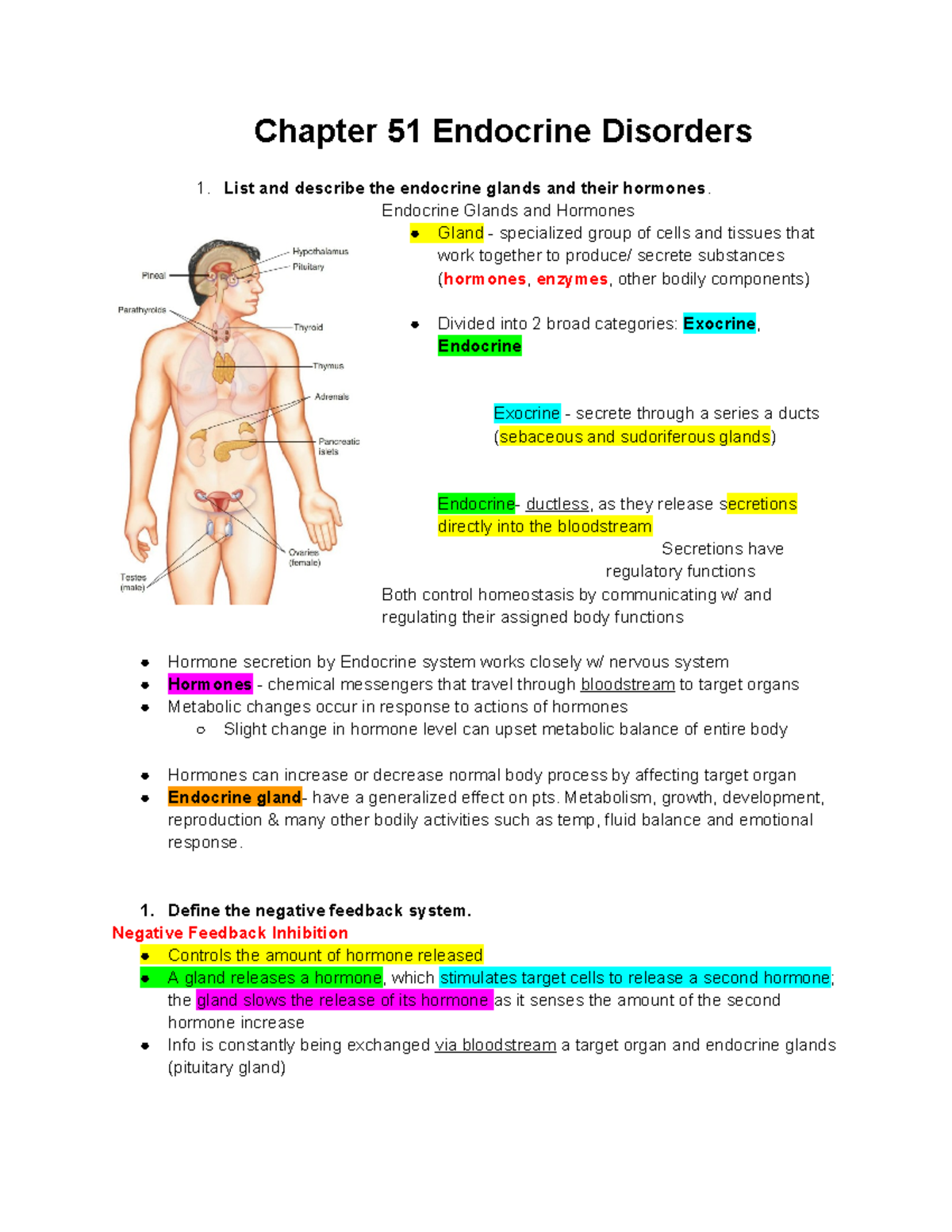 CHP 51 Endocrine Disorders: Overview of Glands, Hormones, and Functions ...