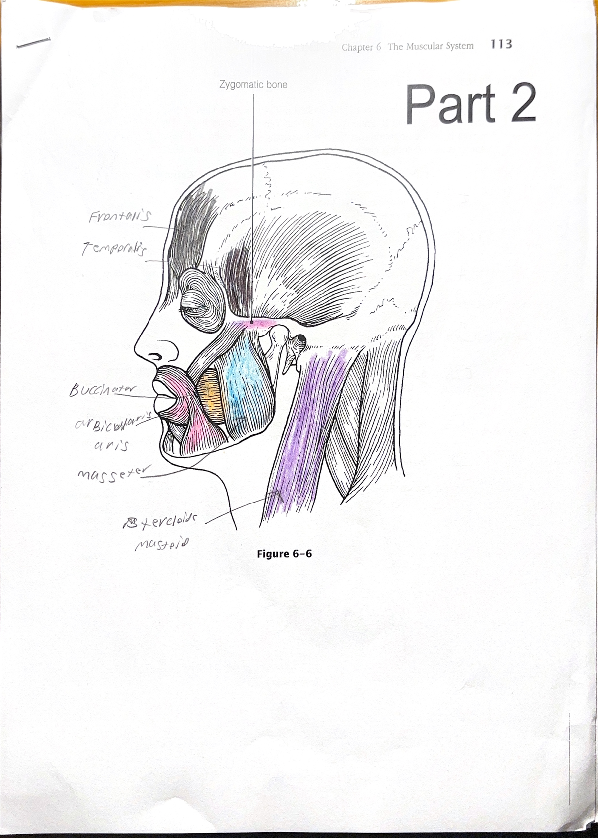 Scanned Document 4 - A guide on to help you solve answers - Chapter 6 ...