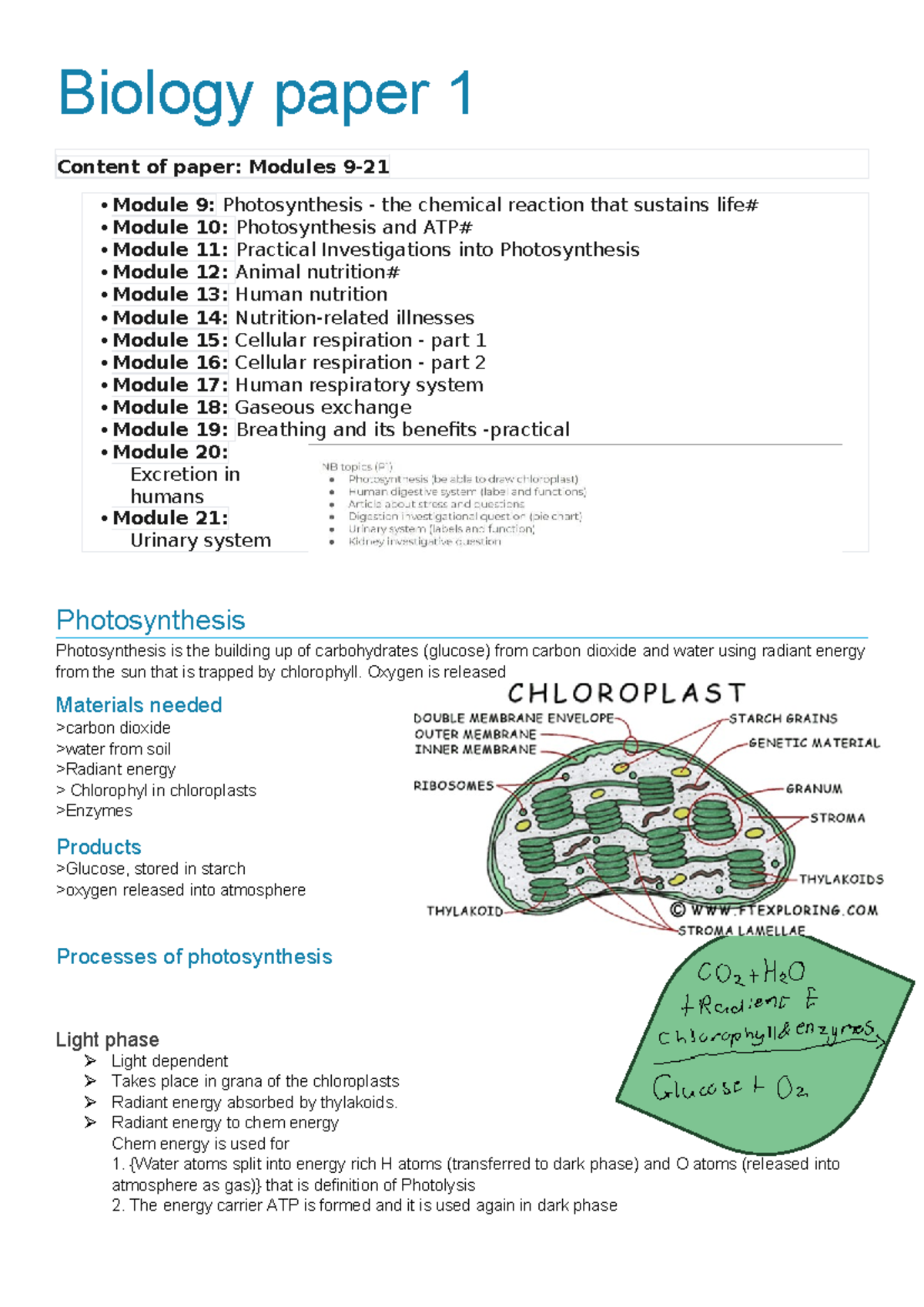 Biology Paper 1: Photosynthesis, Nutrition, & Cellular Respiration ...