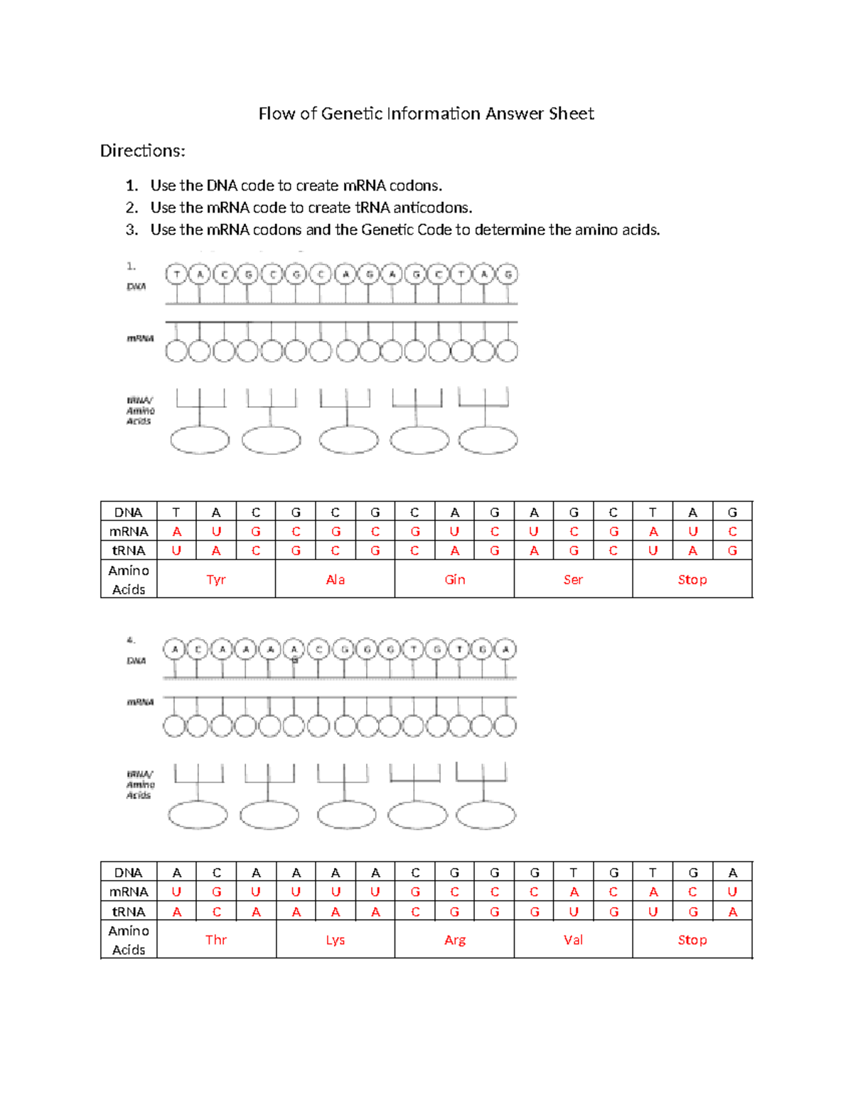 Genetics Lab Project 13: Flow of Genetic Info & Codons - Studocu