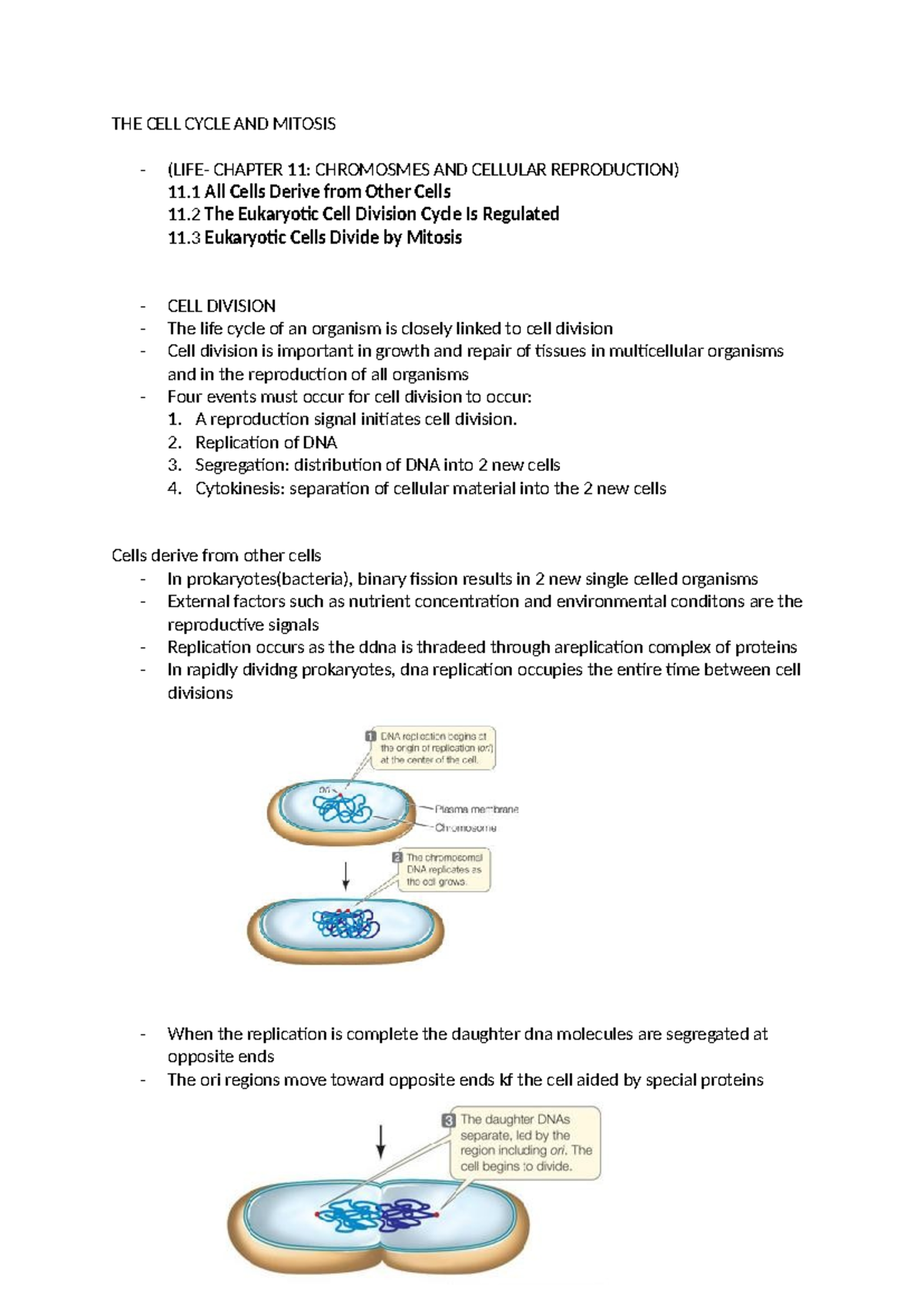 LIFE-CH11: The Cell Cycle and Mitosis Overview and Key Concepts - Studocu