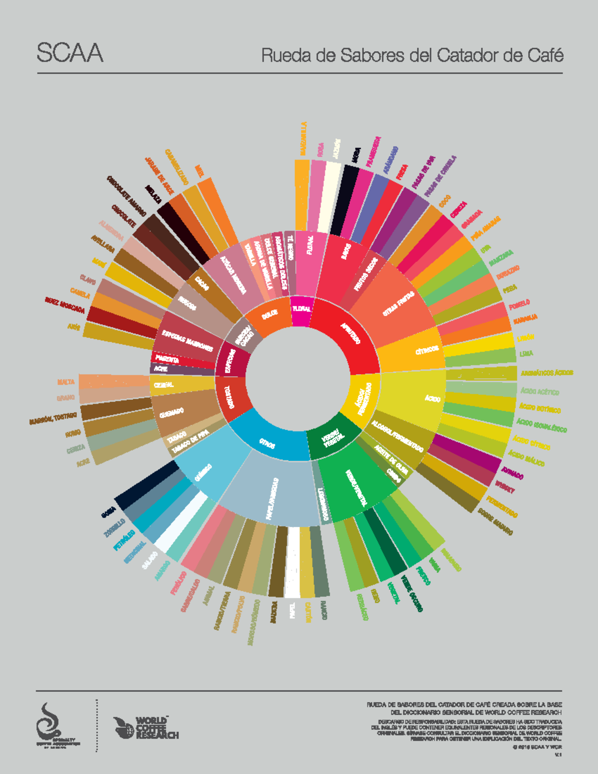 SCAA Flavor Wheel Spanish - SCAA Rueda de Sabores del Catador de Café ...