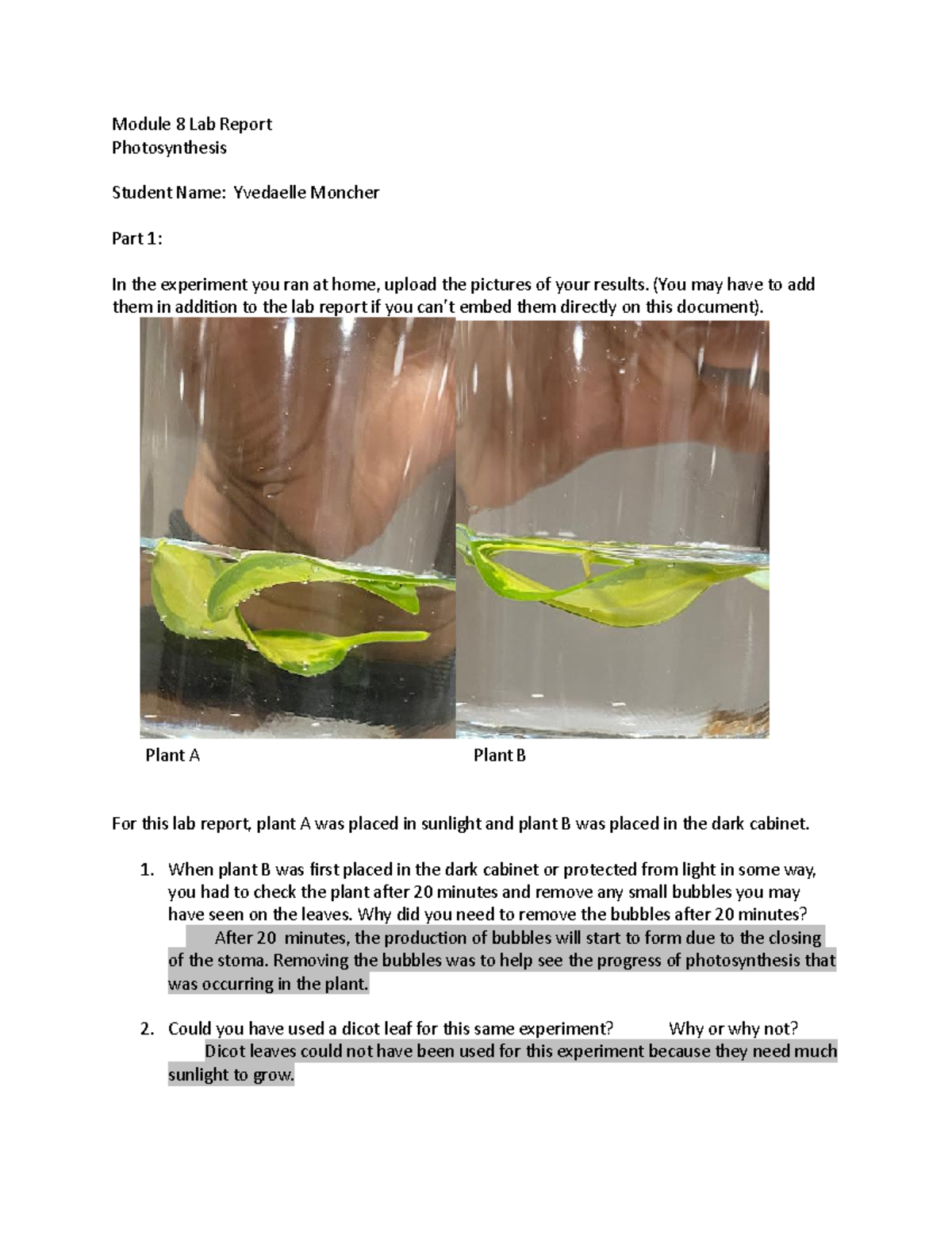 Module 8 Lab Report - Module 8 Lab Report Photosynthesis Student Name: Yvedaelle Moncher Part 1 ...