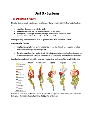 Gr 11 bio study guide - bio notes - Grade 11 Biology Study Guide Unit 1 ...